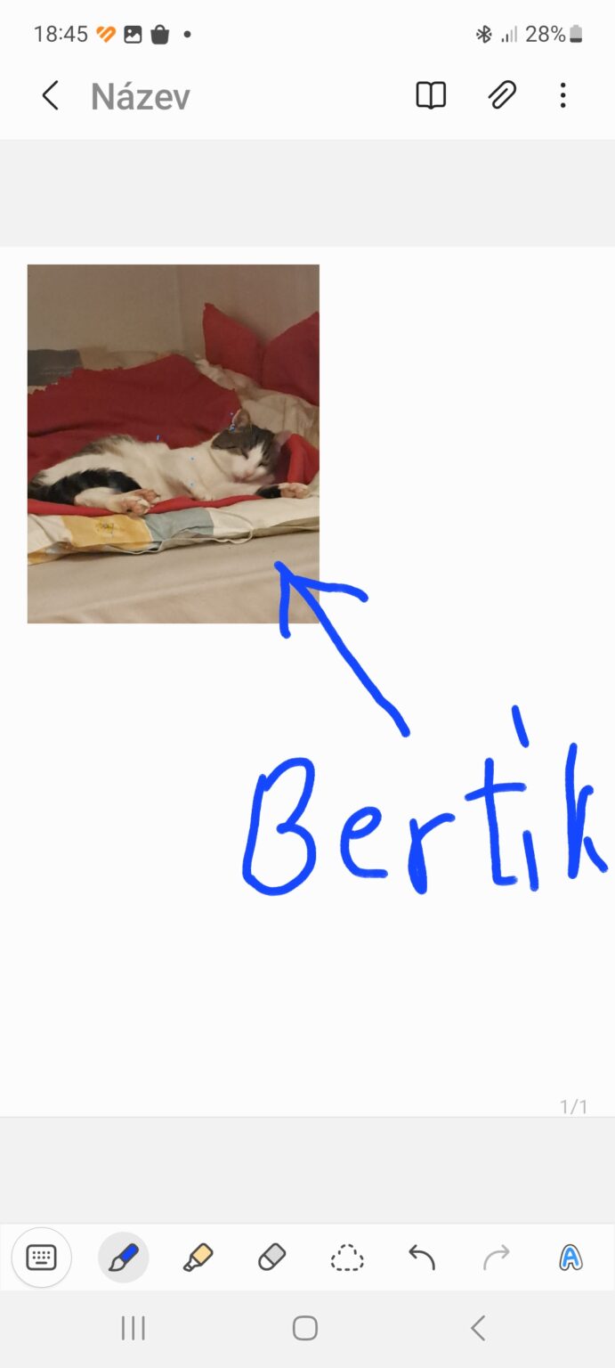 我终于开始使用三星笔记了，我早就应该这么做了—— Samsung Magazine